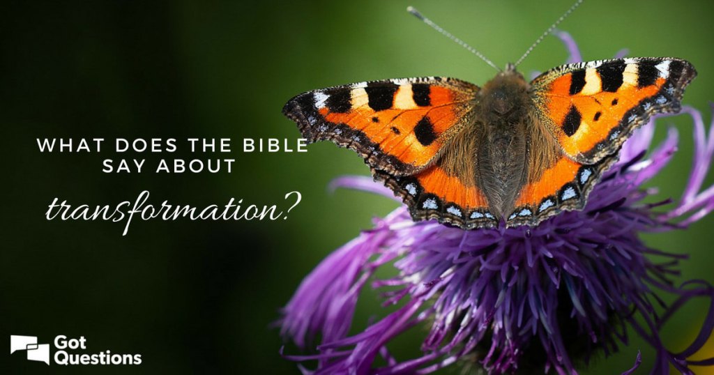 WHAT DOES THE BIBLE SAY ABOUT TRANSFORMATION? – DINING WITH JESUS ...