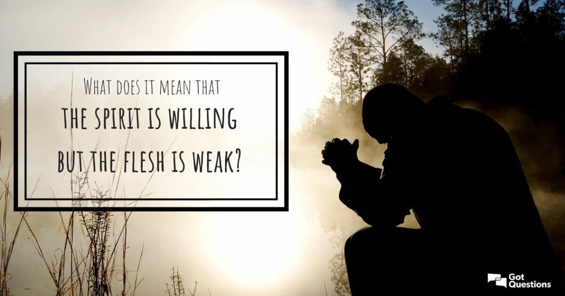 THE SPIRIT IS WILLING BUT THE FLESH IS WEAK – DINING WITH JESUS PRODUCTIONS