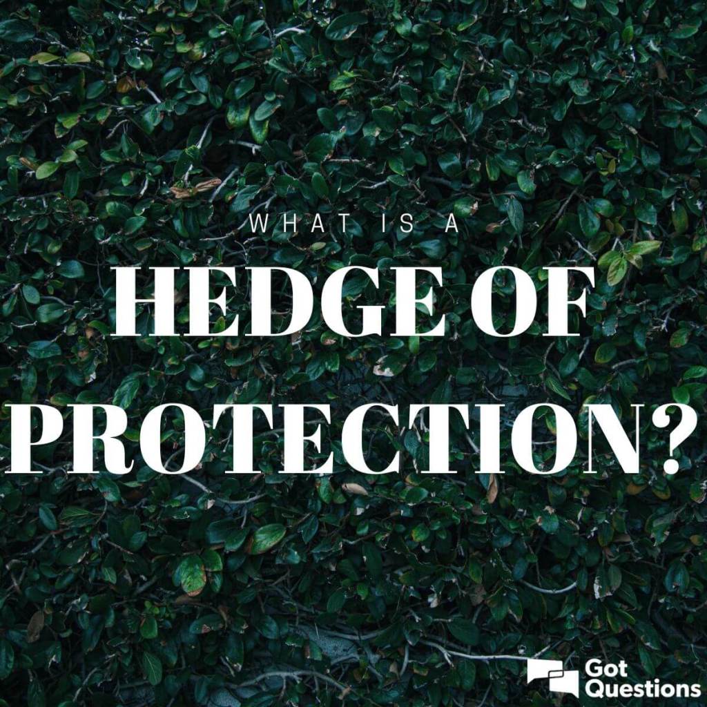 THE HEDGE OF PROTECTION – DINING WITH JESUS PRODUCTIONS